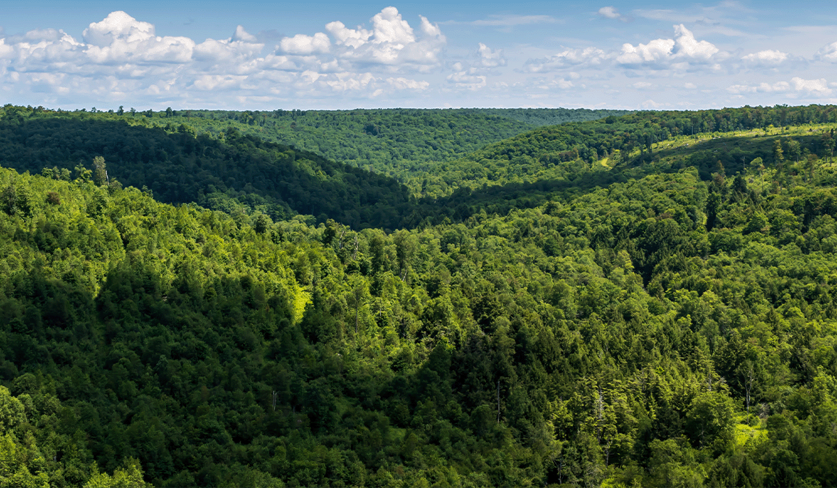 United States DOE invests $13 million in carbon capture technology United States DOE invests $13 million in carbon capture technology